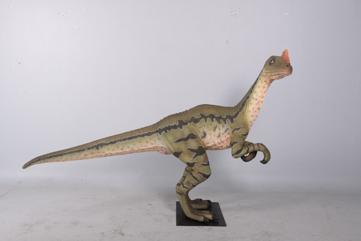 Dilong Paradoxus | JR 160273